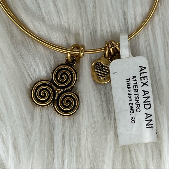 Alex and Ani | Jewelry | Alex And Ani Rafaelian Gold Triskelion Charm Bangle Bracelet | Poshmark
